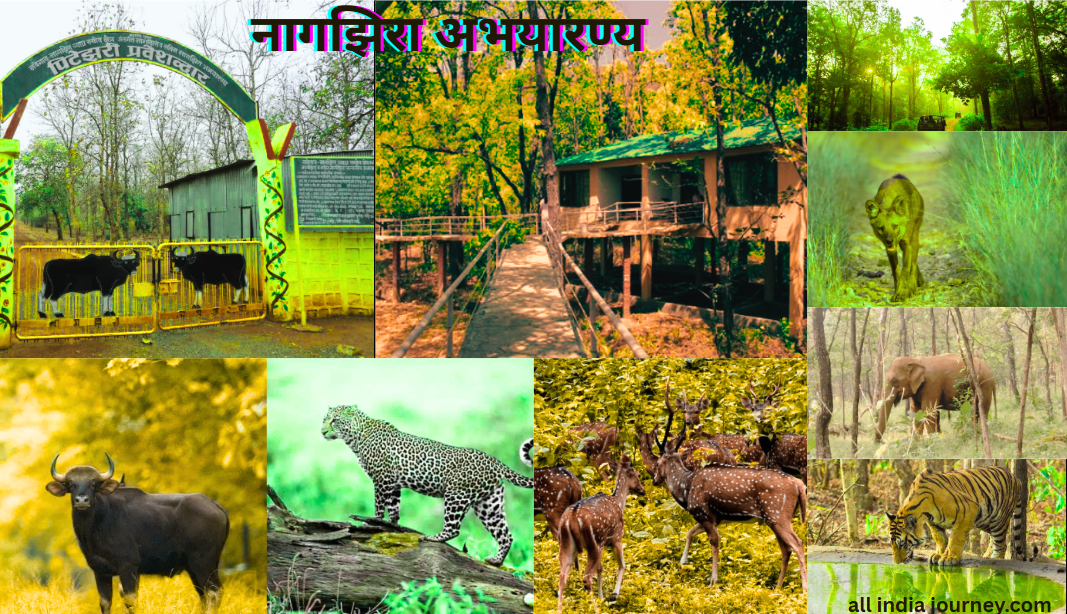 गोंदिया जिल्ह्यातील प्रमुख पर्यटन स्थळे-Top 15 Places Visit to in ...